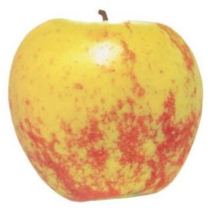 Alteraciones fisiologicas en Manzanas y Peras o fruta de pepita